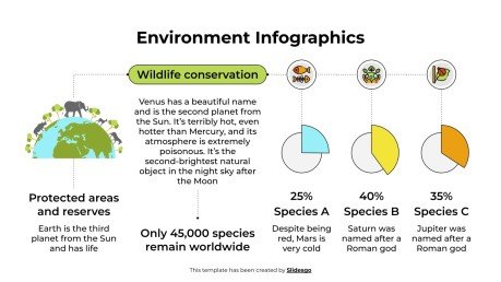 Environment Infographics Template