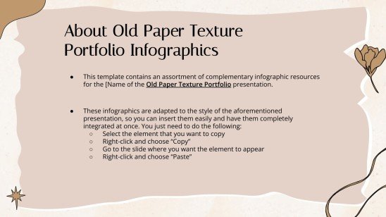 Old Paper Texture Portfolio Infographics Template