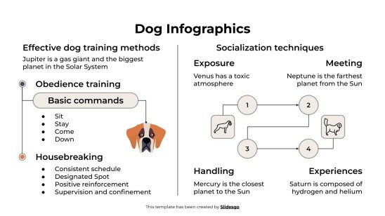 Dog Infographics Template