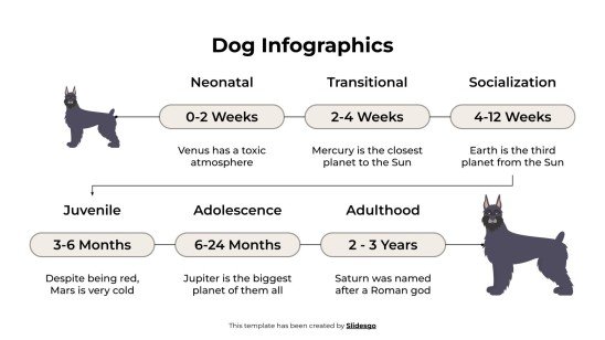 Dog Infographics Template