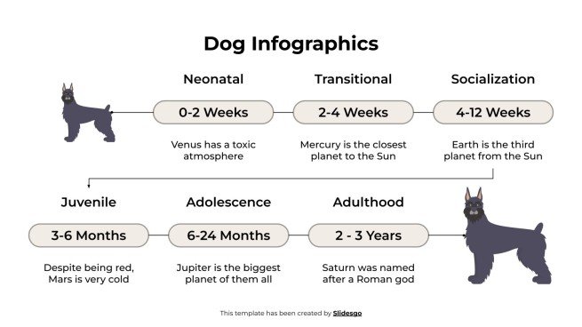 Dog Infographics Template