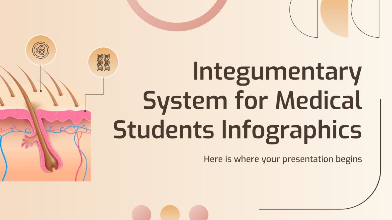 Integumentary System for Medical Students Infographics