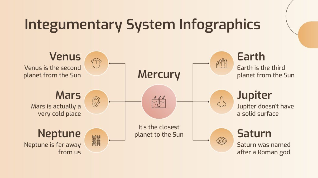 Integumentary System for Medical Students Infographics