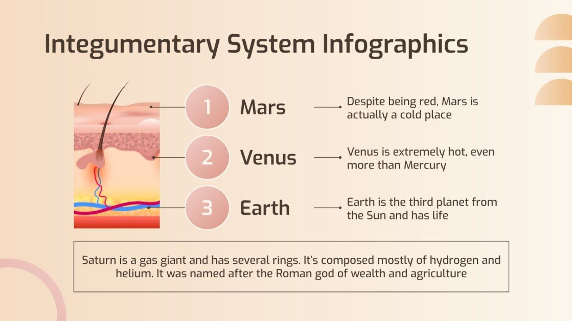 Integumentary System for Medical Students Infographics