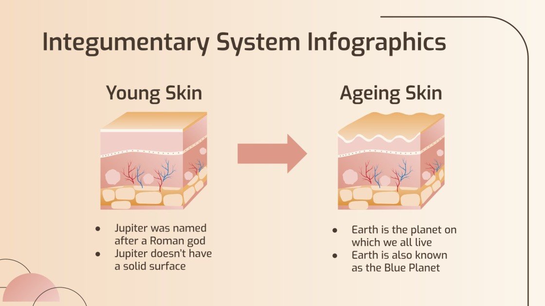 Integumentary System for Medical Students Infographics