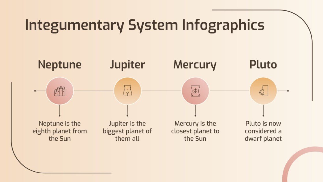 Integumentary System for Medical Students Infographics