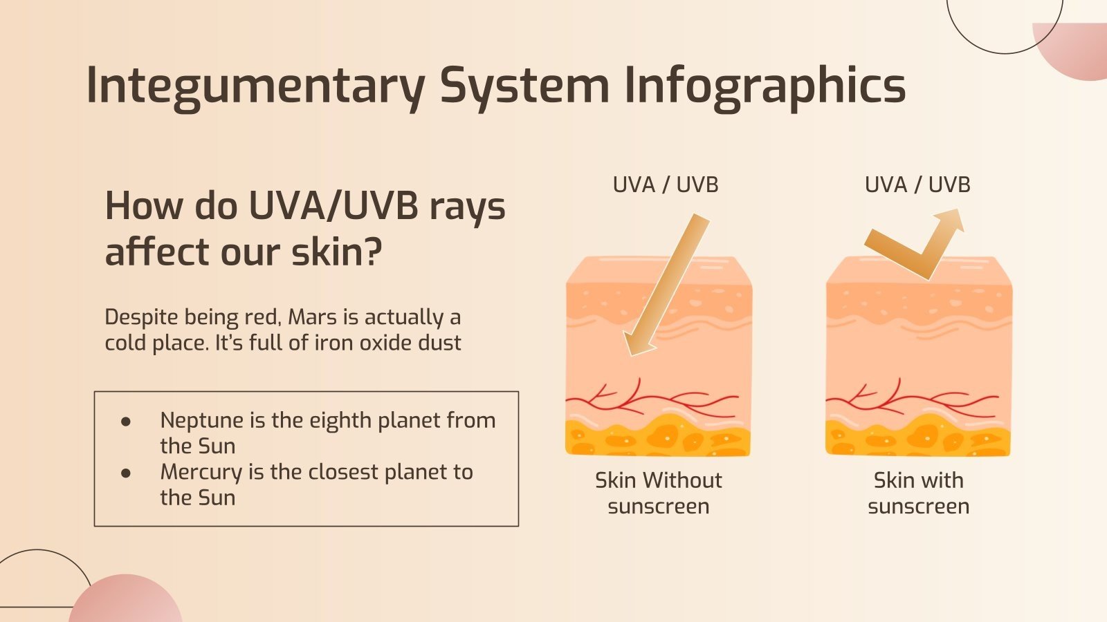 Integumentary System for Medical Students Infographics