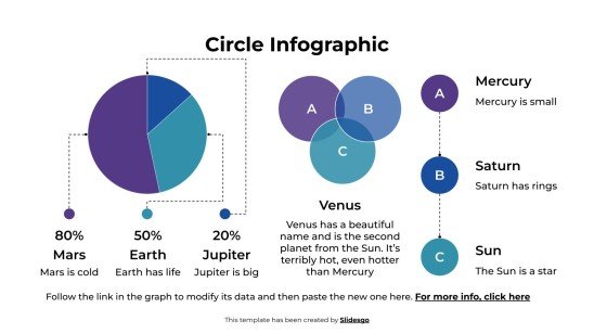 Circle Infographic Presentation
