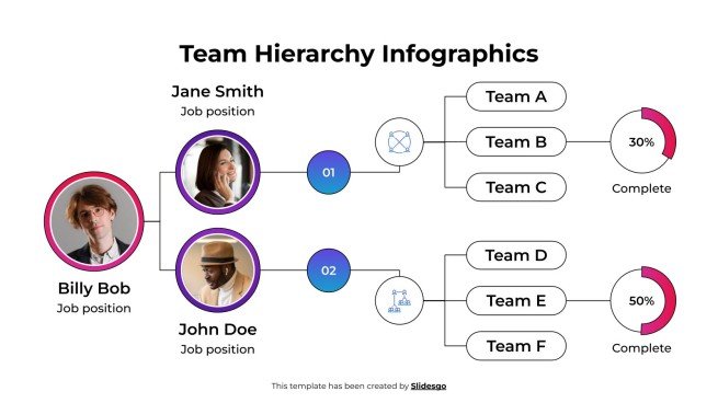 Team Hierarchy Inforgraphics Template