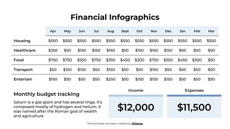 Financial Infographics Template