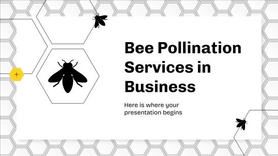 Bee Pollination Services in Business Presentation