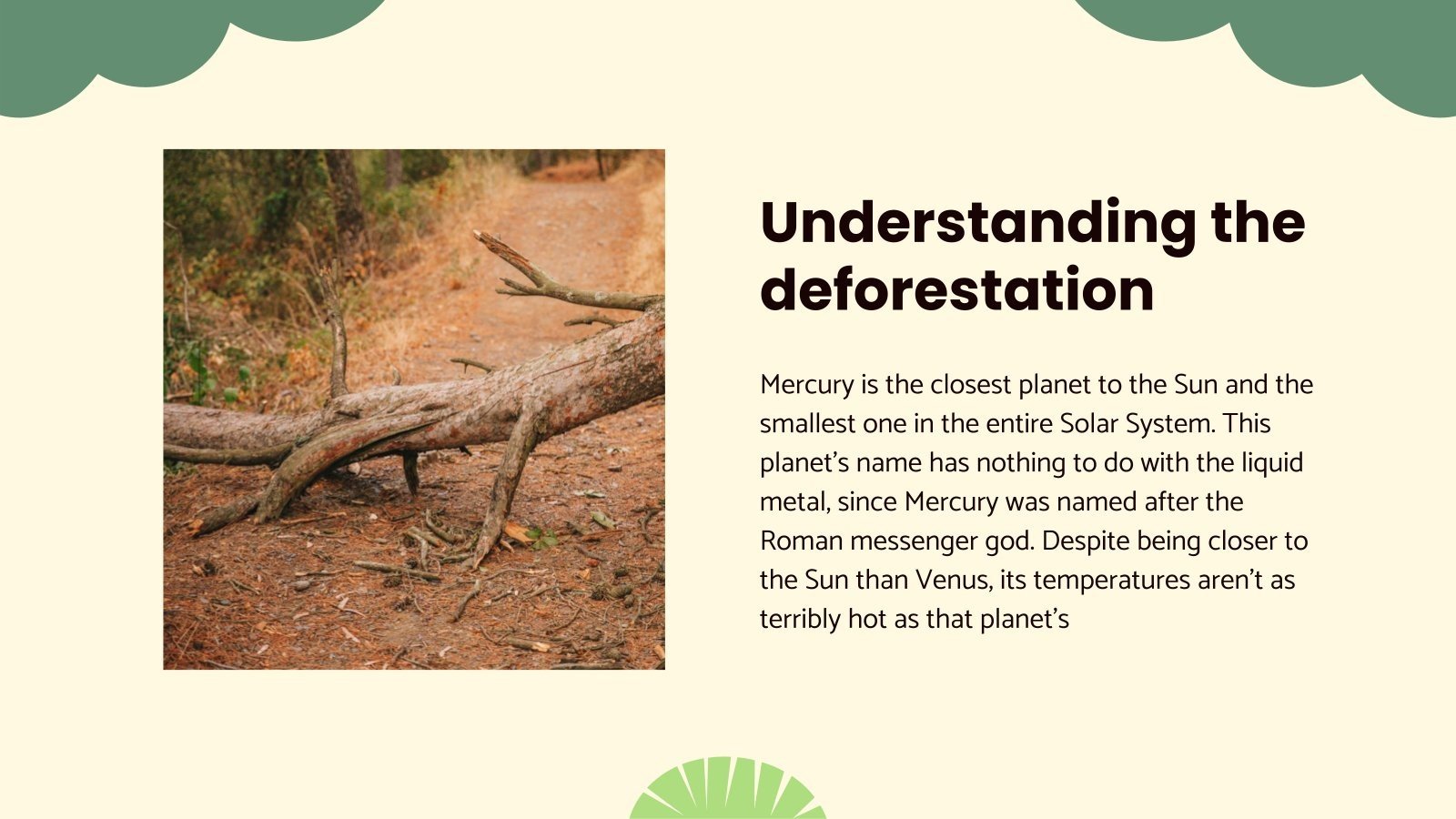 Dangers of Deforestation Presentation