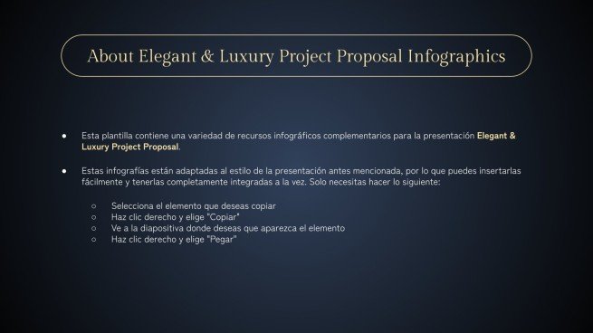 Elegant & Luxury Project Proposal Infographics Template