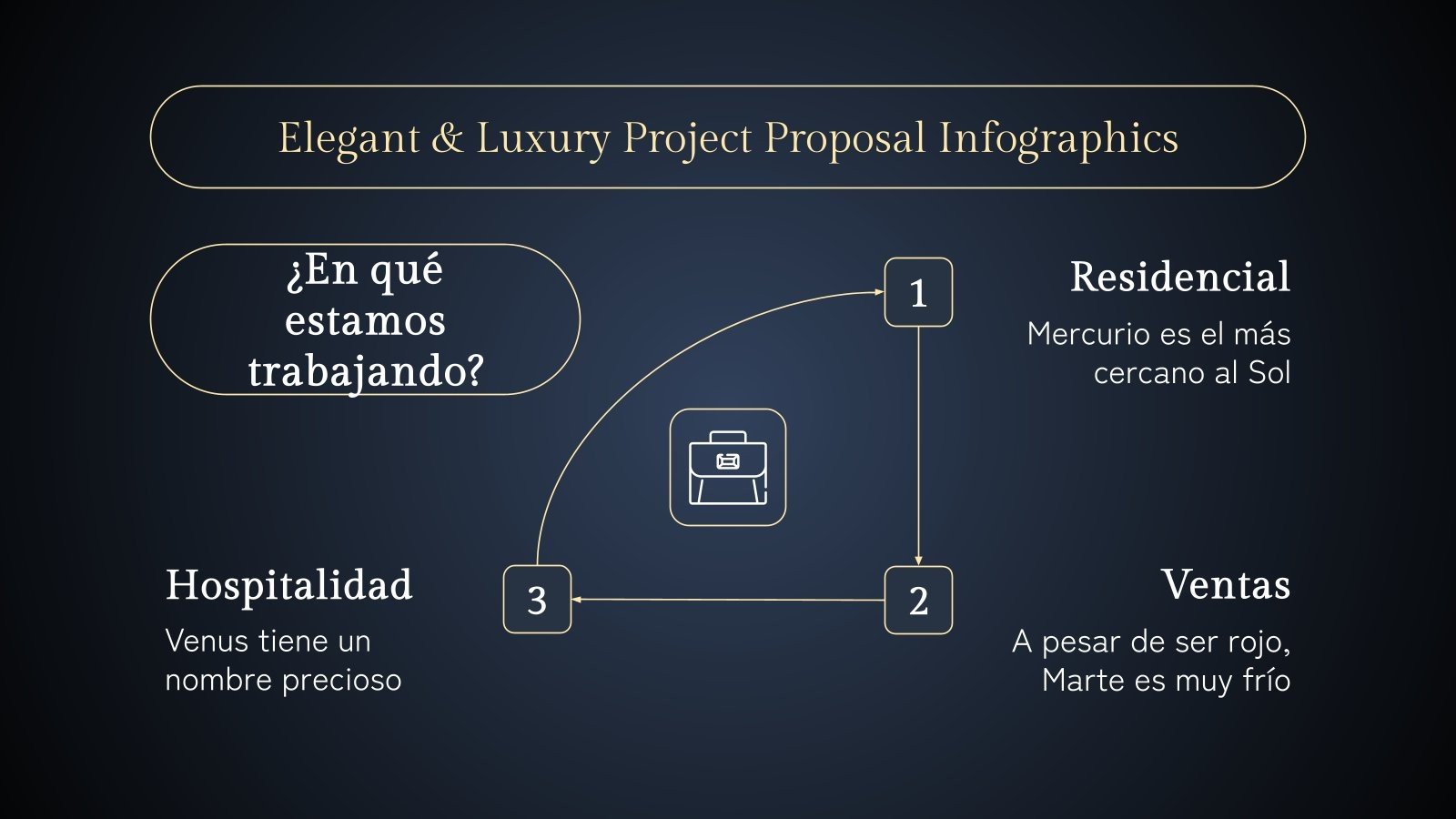 Elegant & Luxury Project Proposal Infographics Template