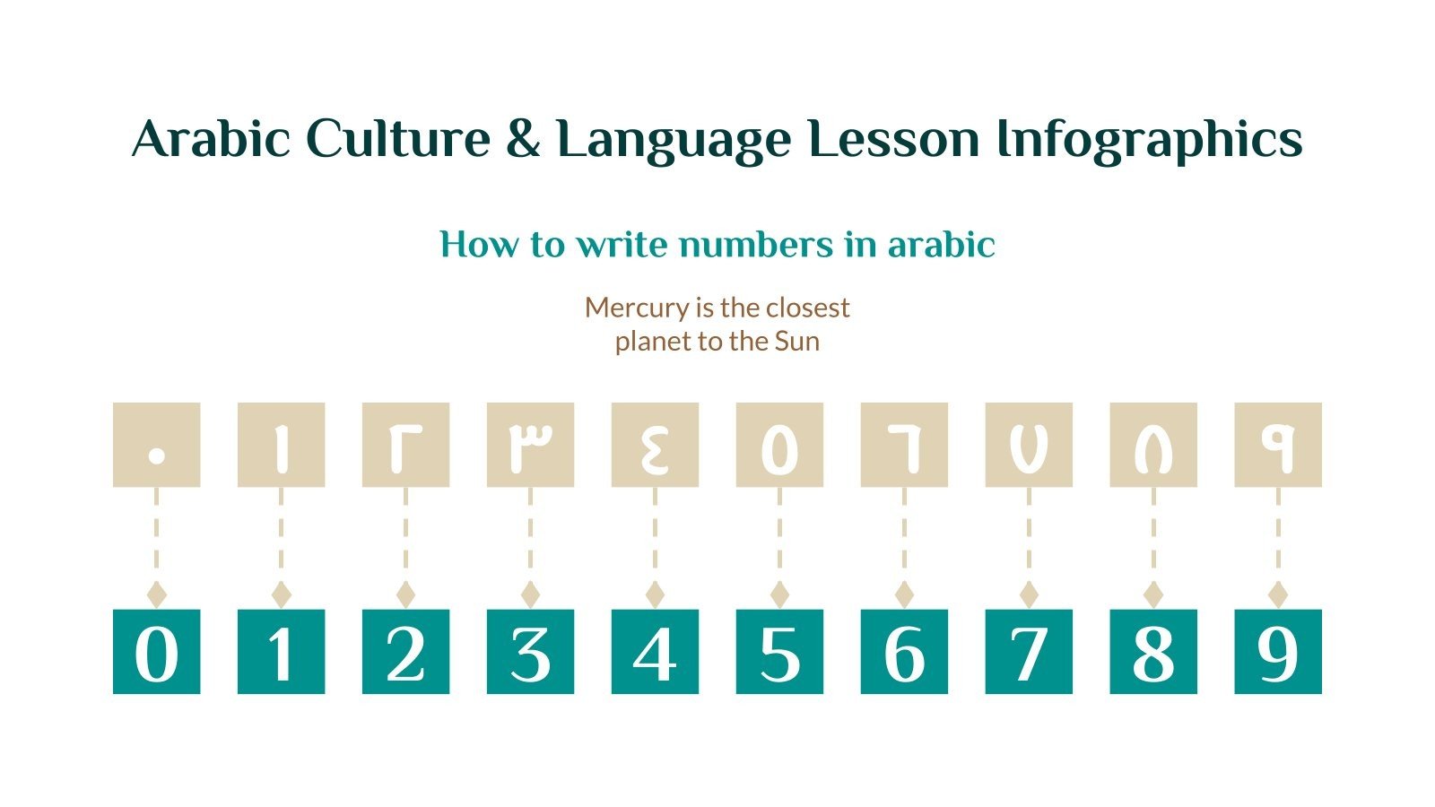 Arabic Culture & Language Lesson Infographics Template