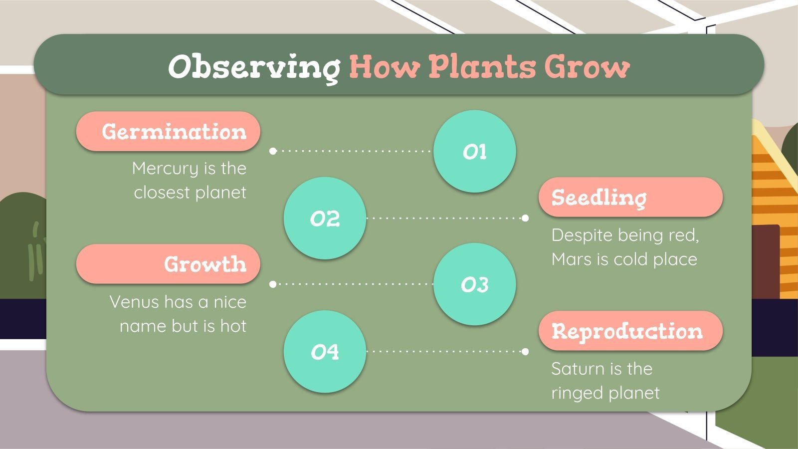 Science for Pre-K: Observing How Plants Grow Infographics