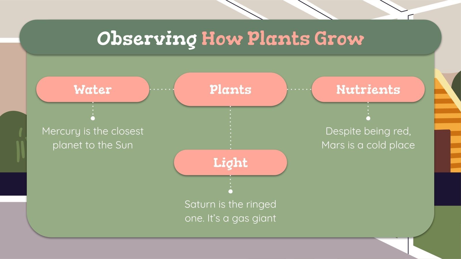 Science for Pre-K: Observing How Plants Grow Infographics