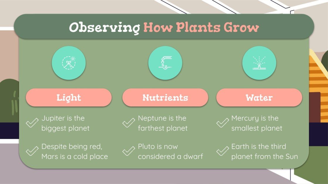 Science for Pre-K: Observing How Plants Grow Infographics