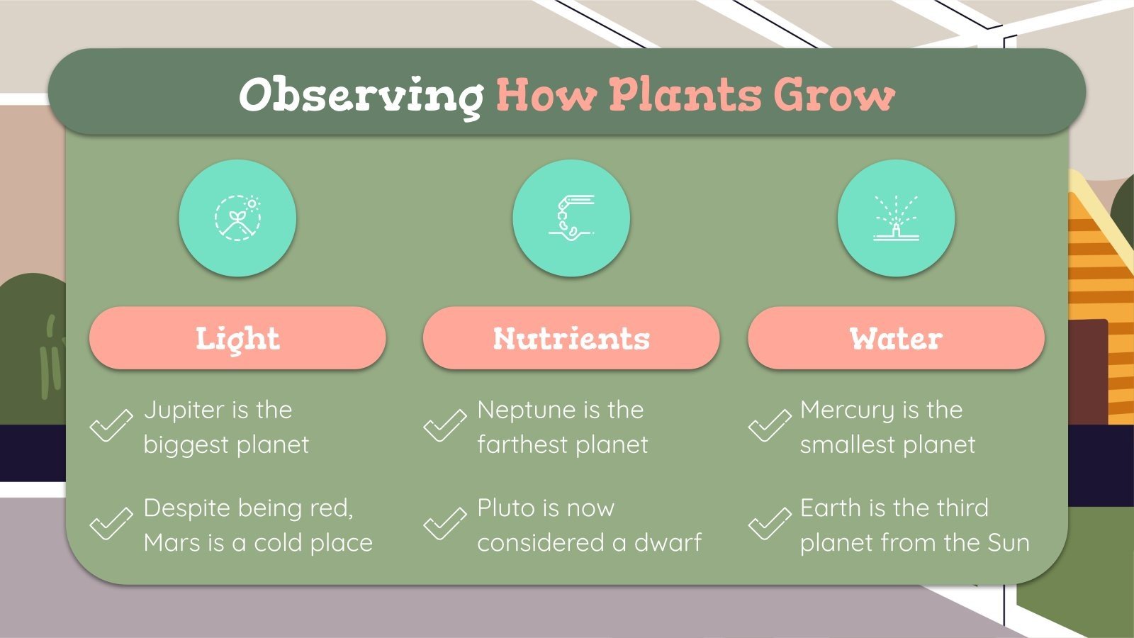Science for Pre-K: Observing How Plants Grow Infographics