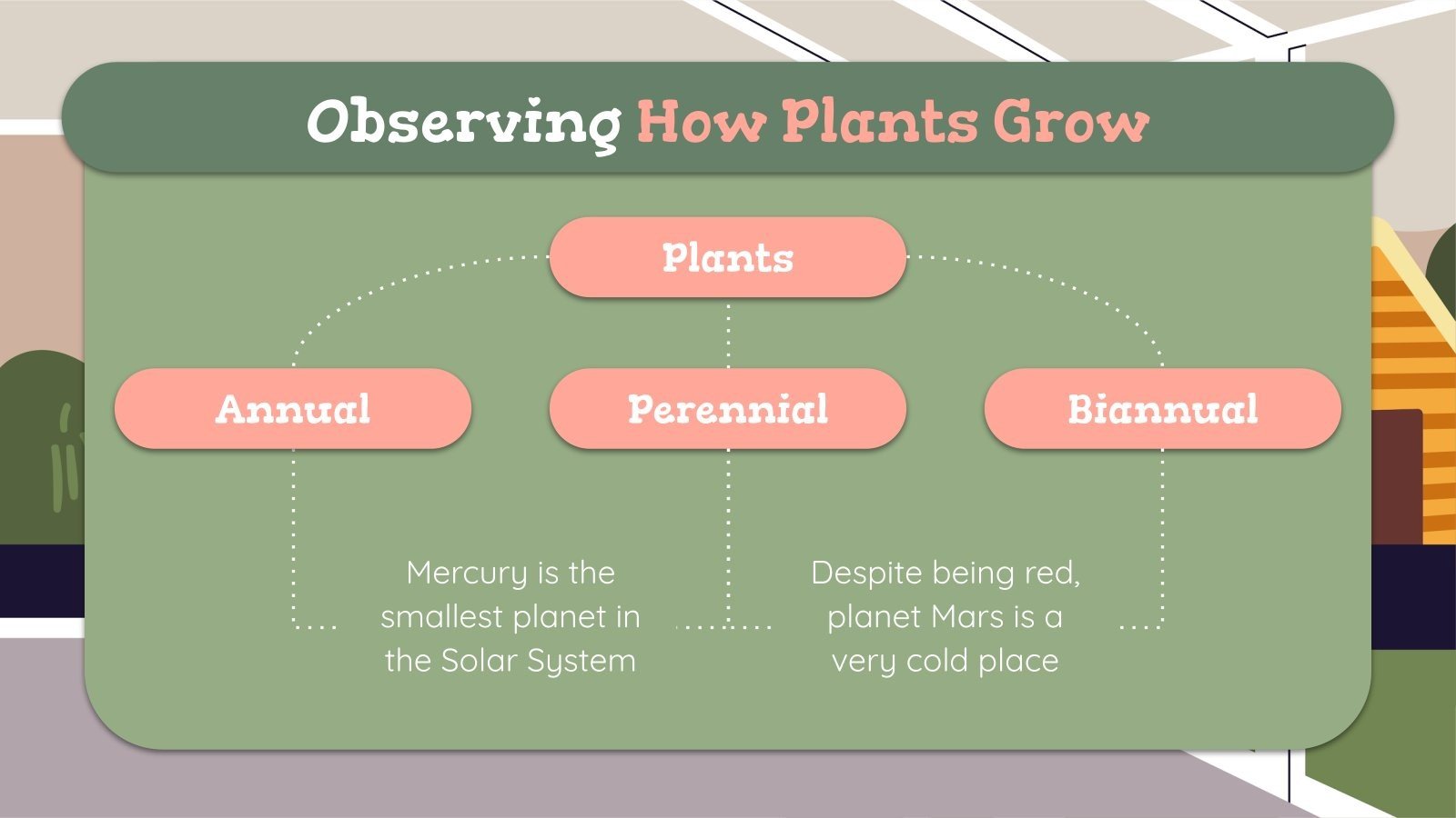 Science for Pre-K: Observing How Plants Grow Infographics