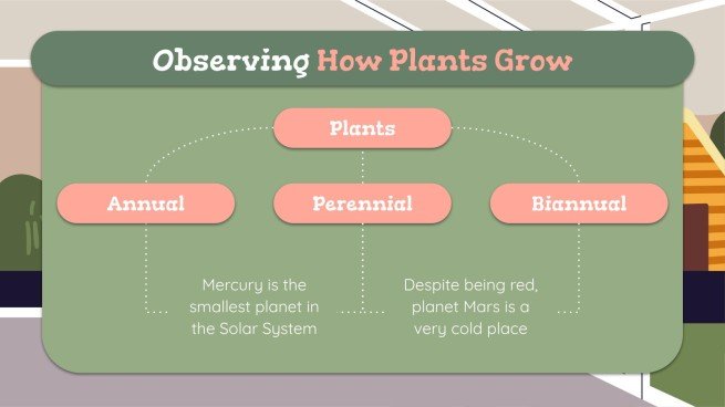 Science for Pre-K: Observing How Plants Grow Infographics