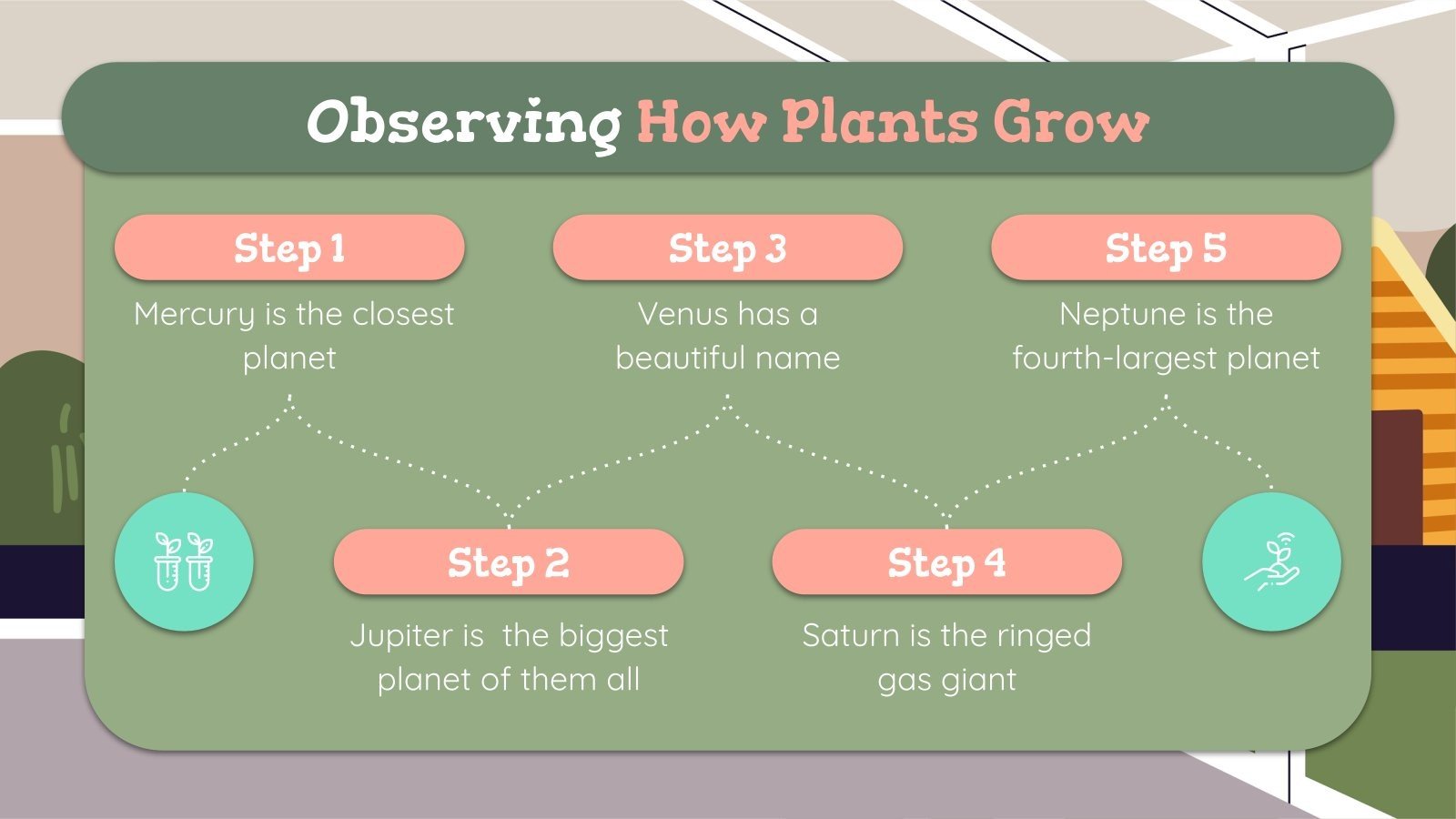 Science for Pre-K: Observing How Plants Grow Infographics