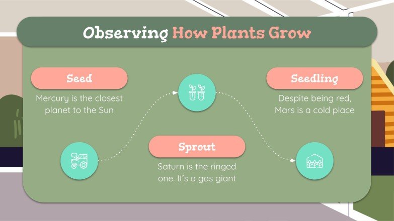 Science for Pre-K: Observing How Plants Grow Infographics