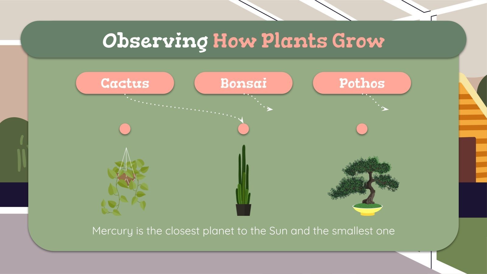 Science for Pre-K: Observing How Plants Grow Infographics