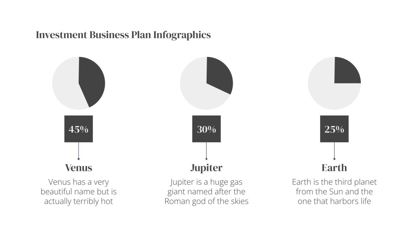 Investment Business Plan Infographics Template