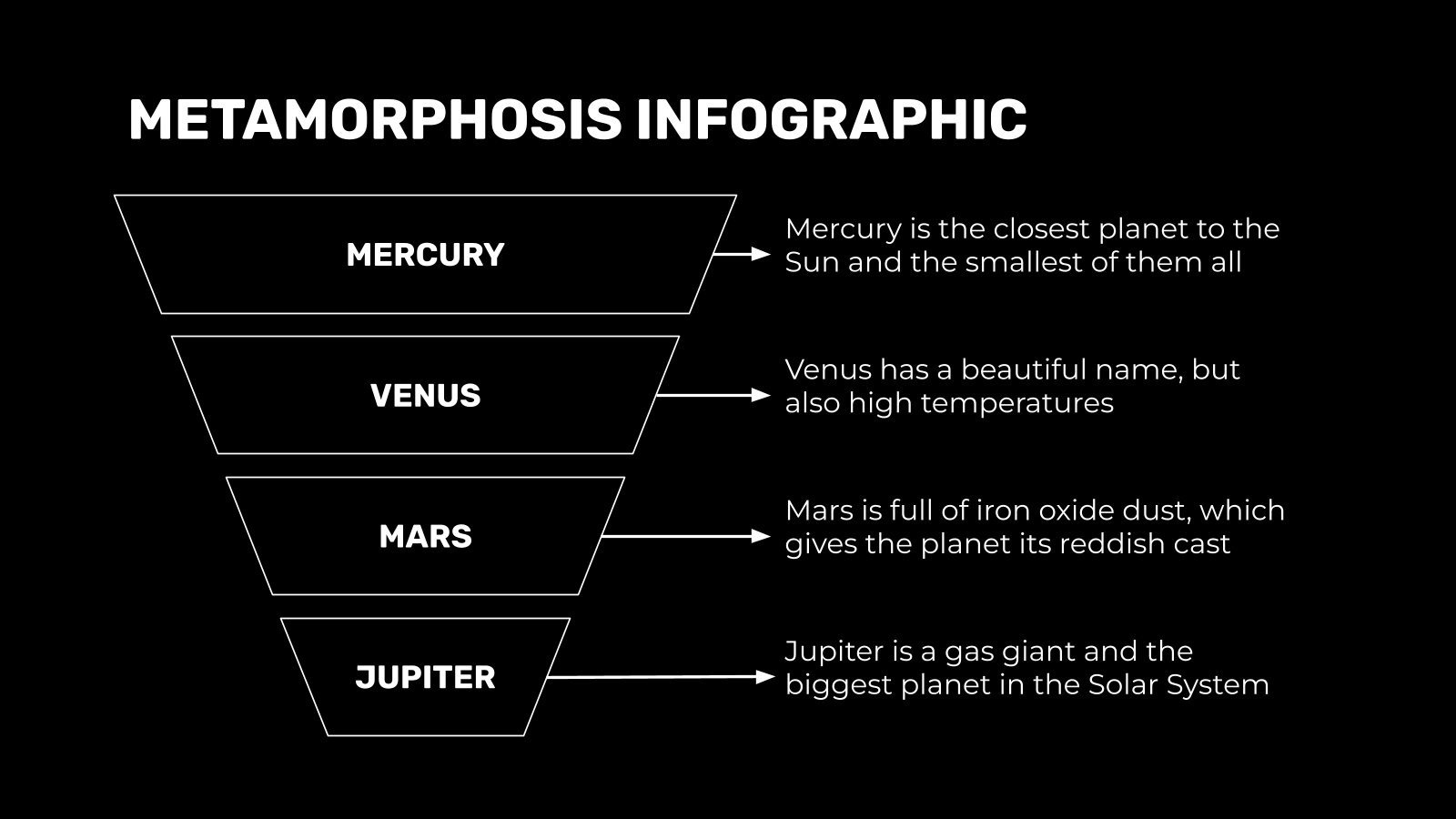 Metamorphosis Business Plan Infographics Template