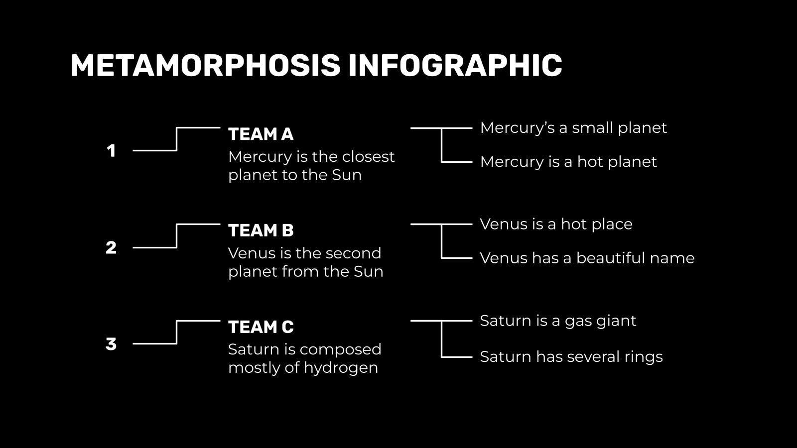 Metamorphosis Business Plan Infographics Template