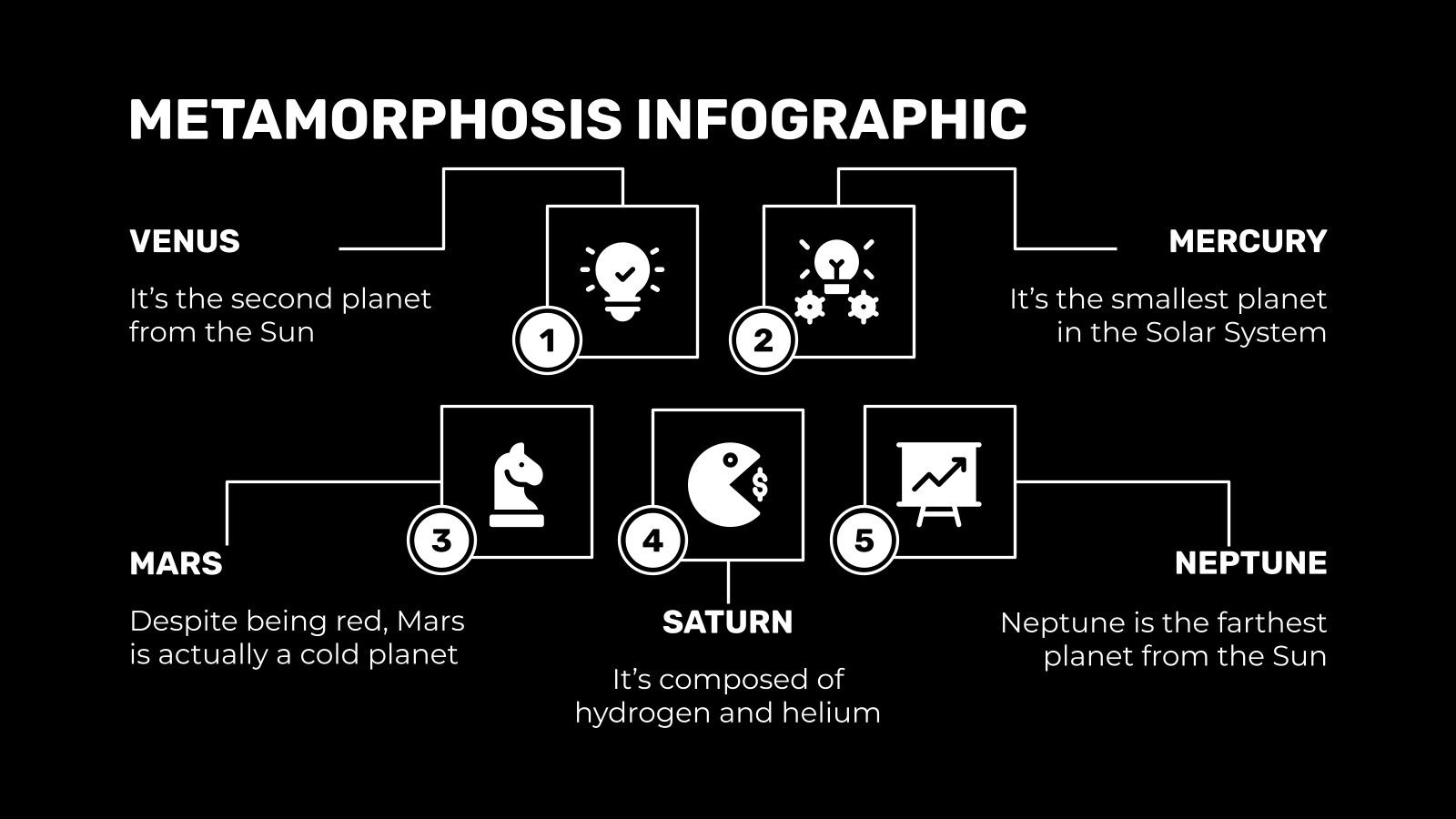 Metamorphosis Business Plan Infographics Template