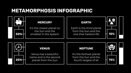 Metamorphosis Business Plan Infographics Template
