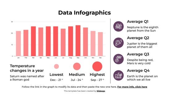Data Infographics Template