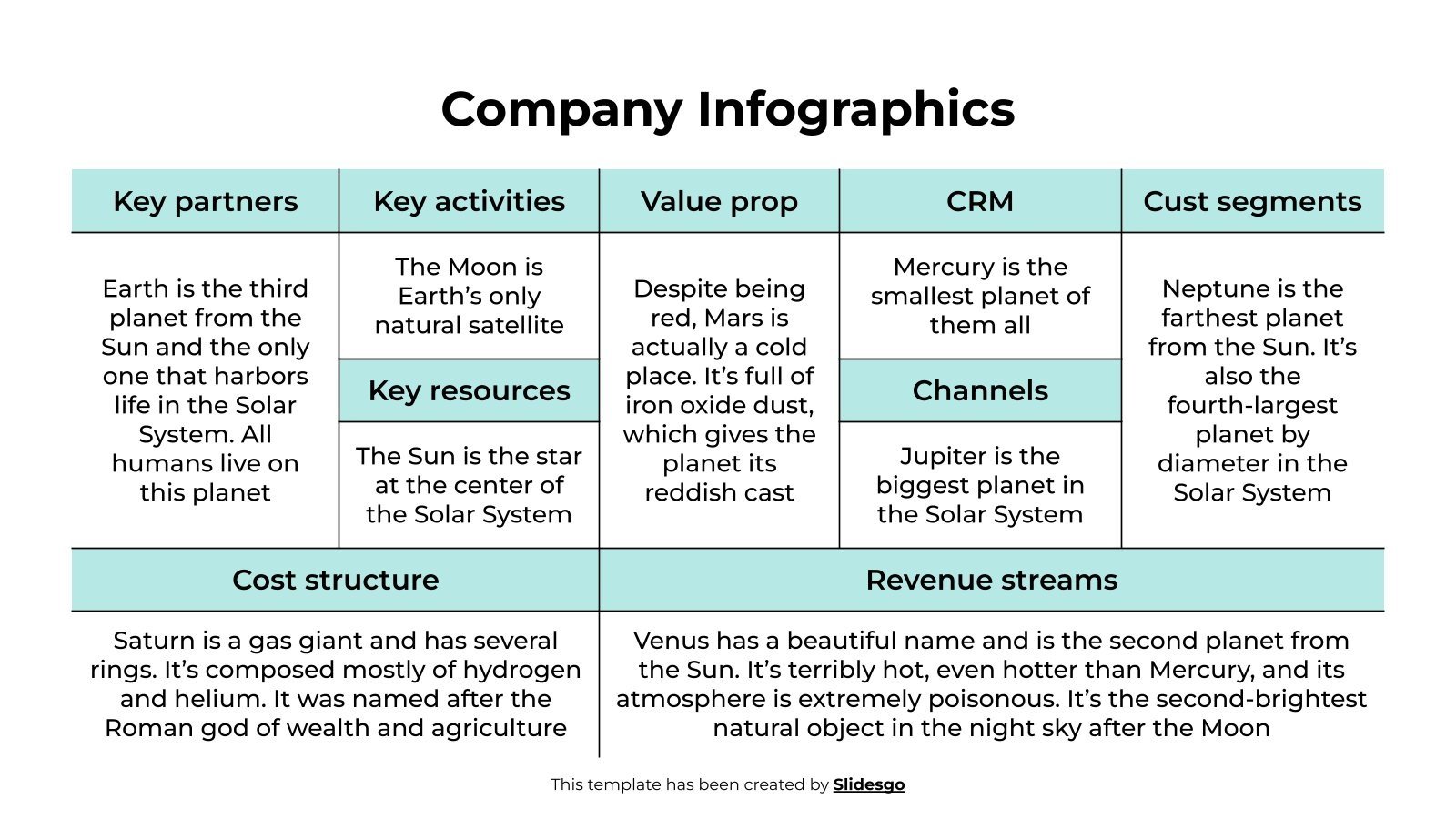 Company Infographics Template