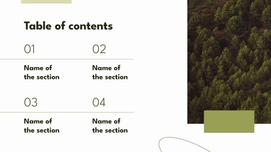 CSR Report Simple Style Presentation