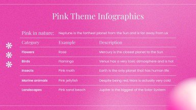 Pink Theme Infographics Template