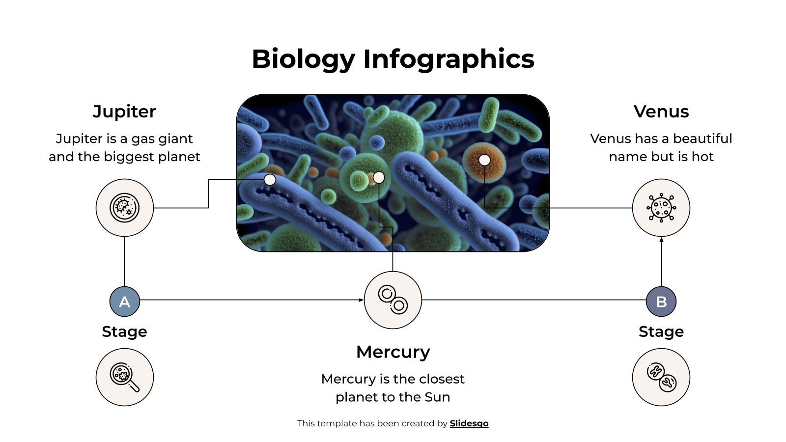 Biology Infographics Template