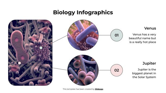 Biology Infographics Template