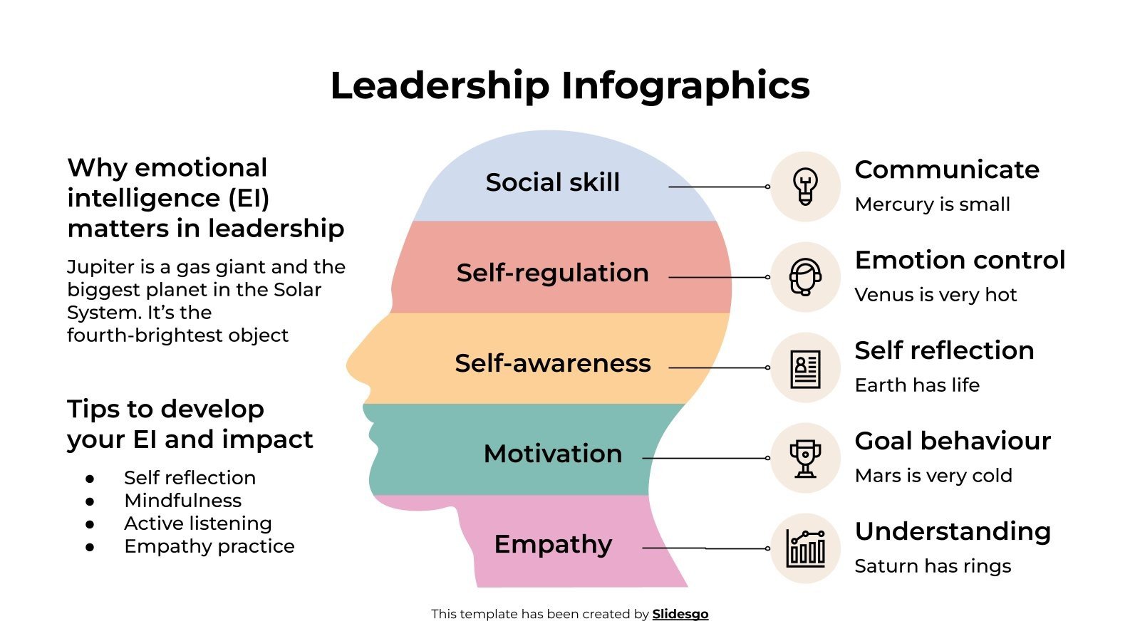 Leadership Infographics Template