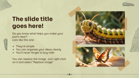 Presentación Plantilla de presentación de oruga