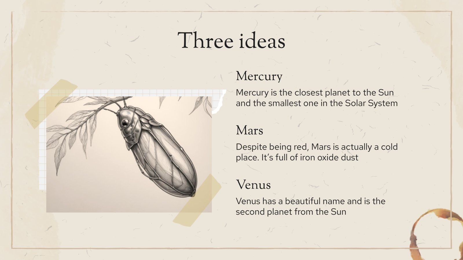 Caterpillar Presentation Template Presentation