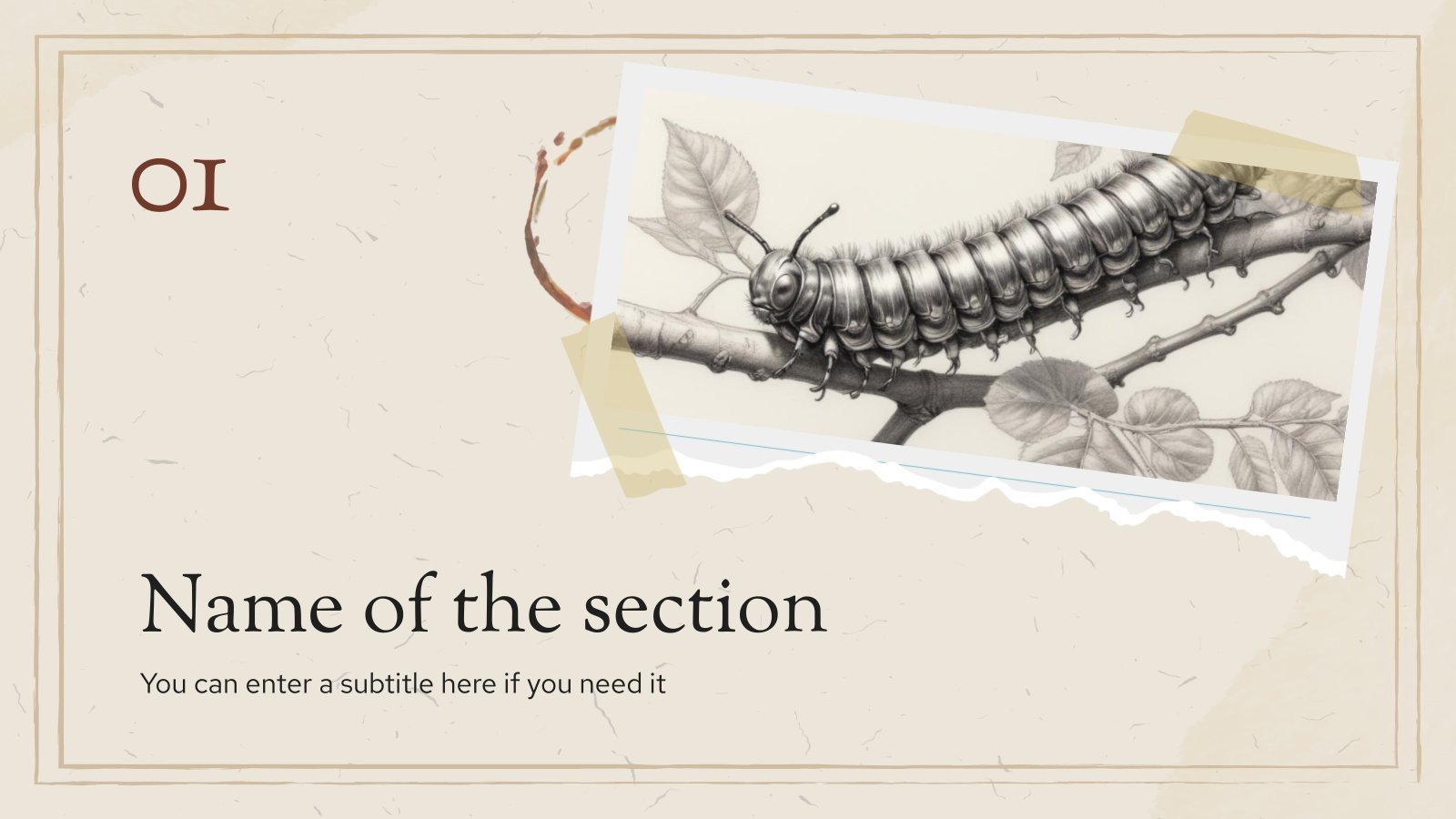 Caterpillar Presentation Template Presentation