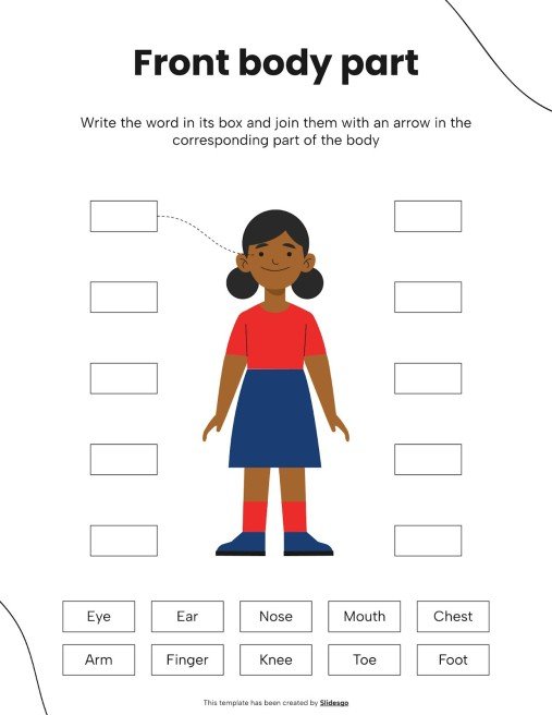 Body parts Worksheet Presentation
