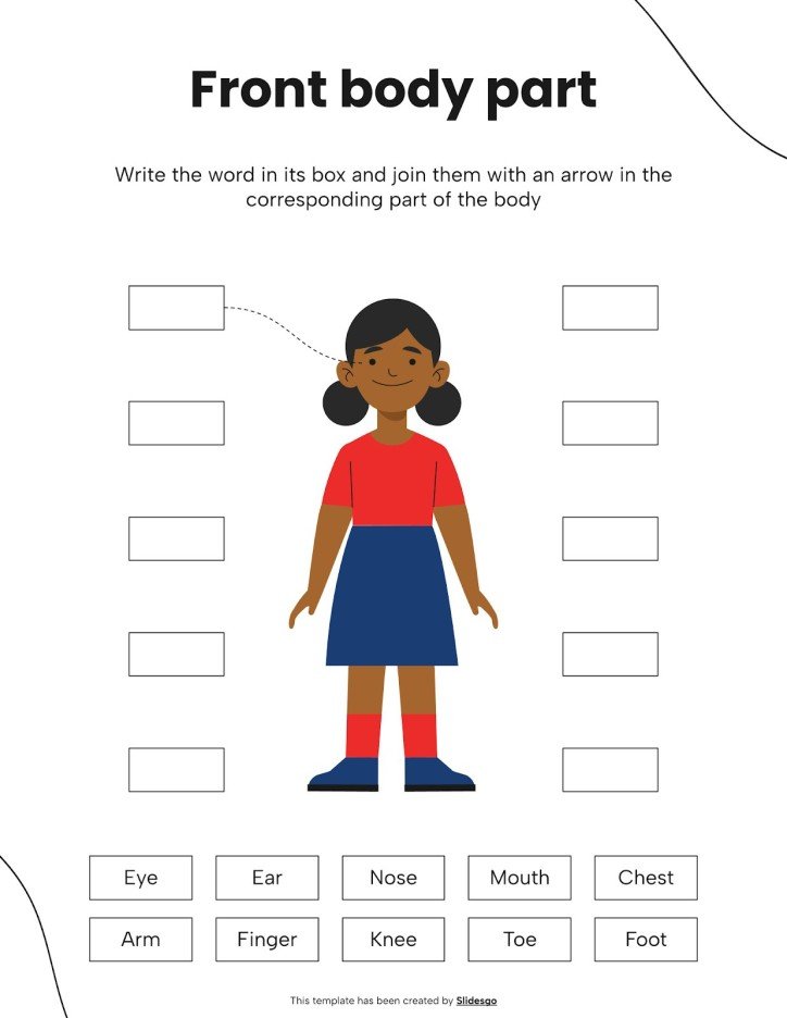 Body parts Worksheet Presentation