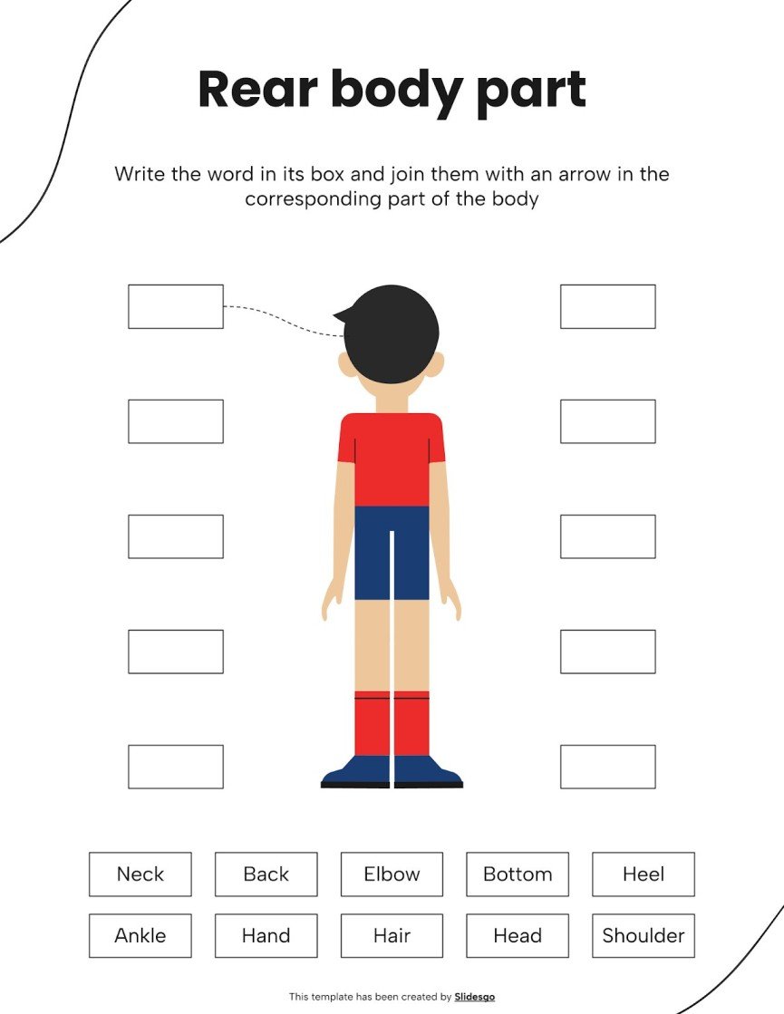 Body parts Worksheet Presentation