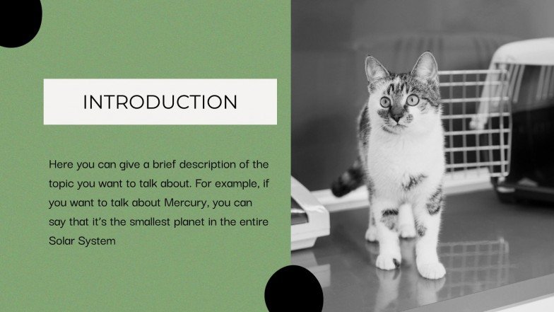 Cat Diseases | Google Slides theme & PowerPoint template