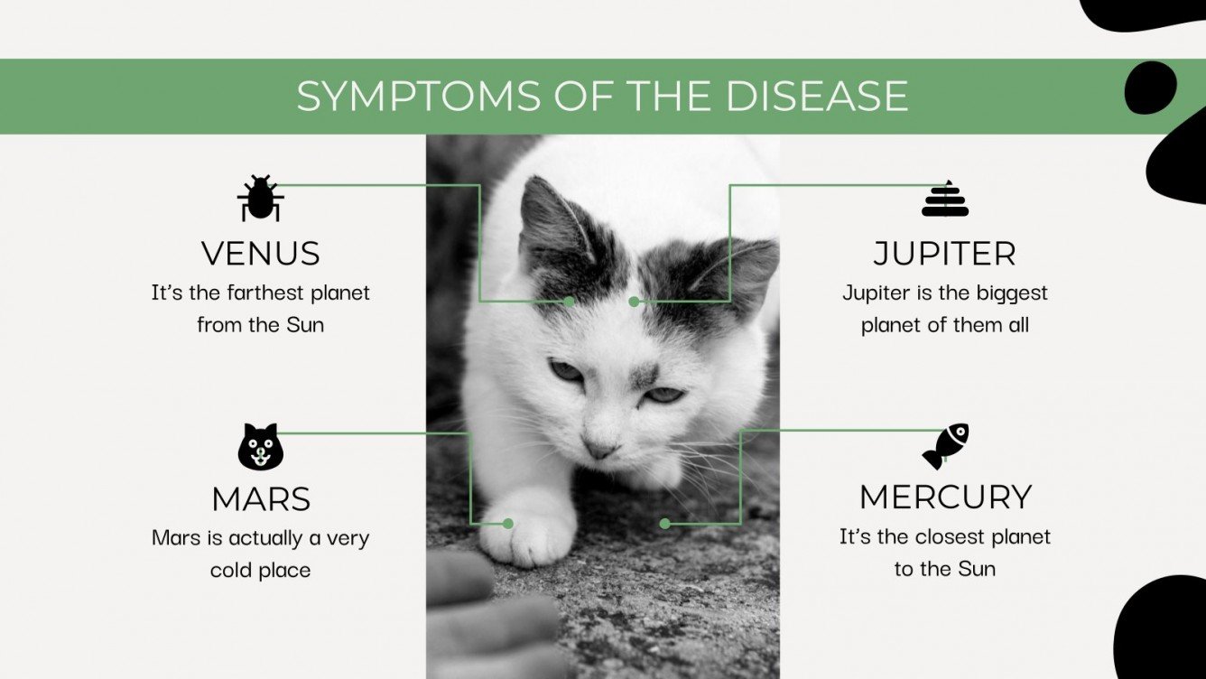 Cat Diseases | Google Slides theme & PowerPoint template