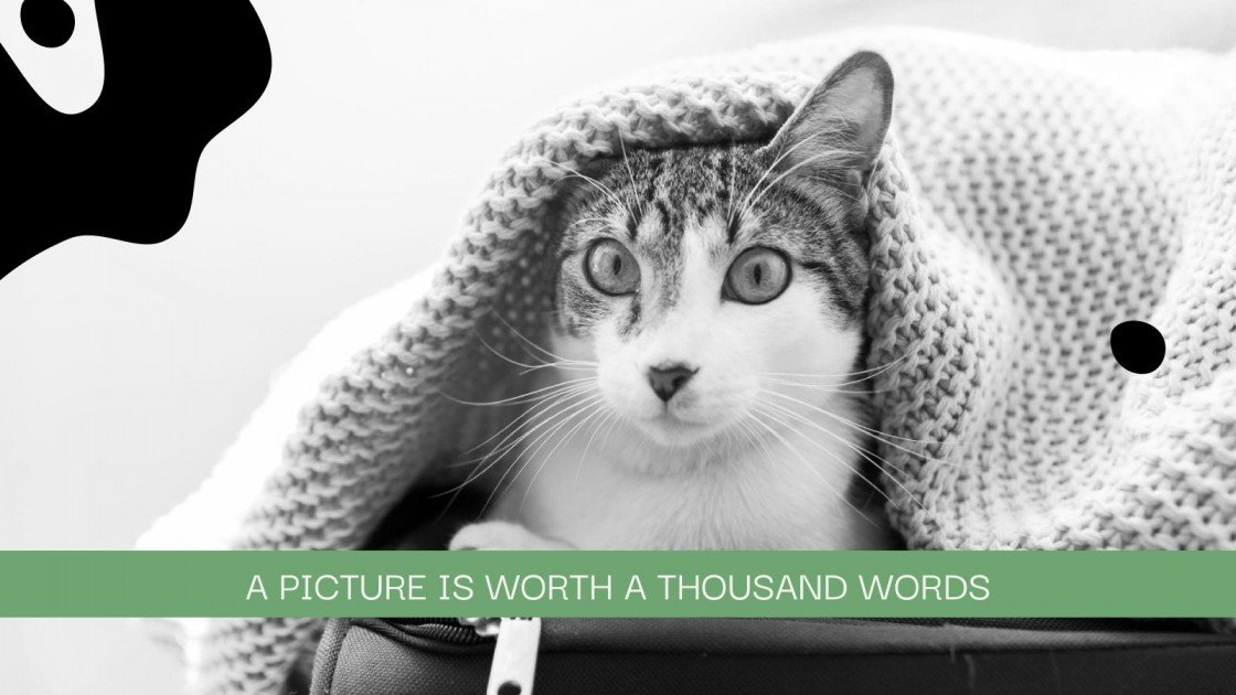 Cat Diseases | Google Slides theme & PowerPoint template