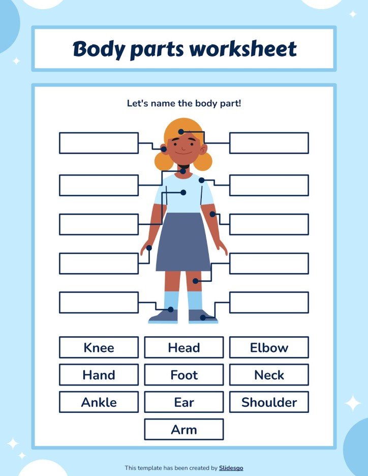 Human Body Parts Worksheet Presentation